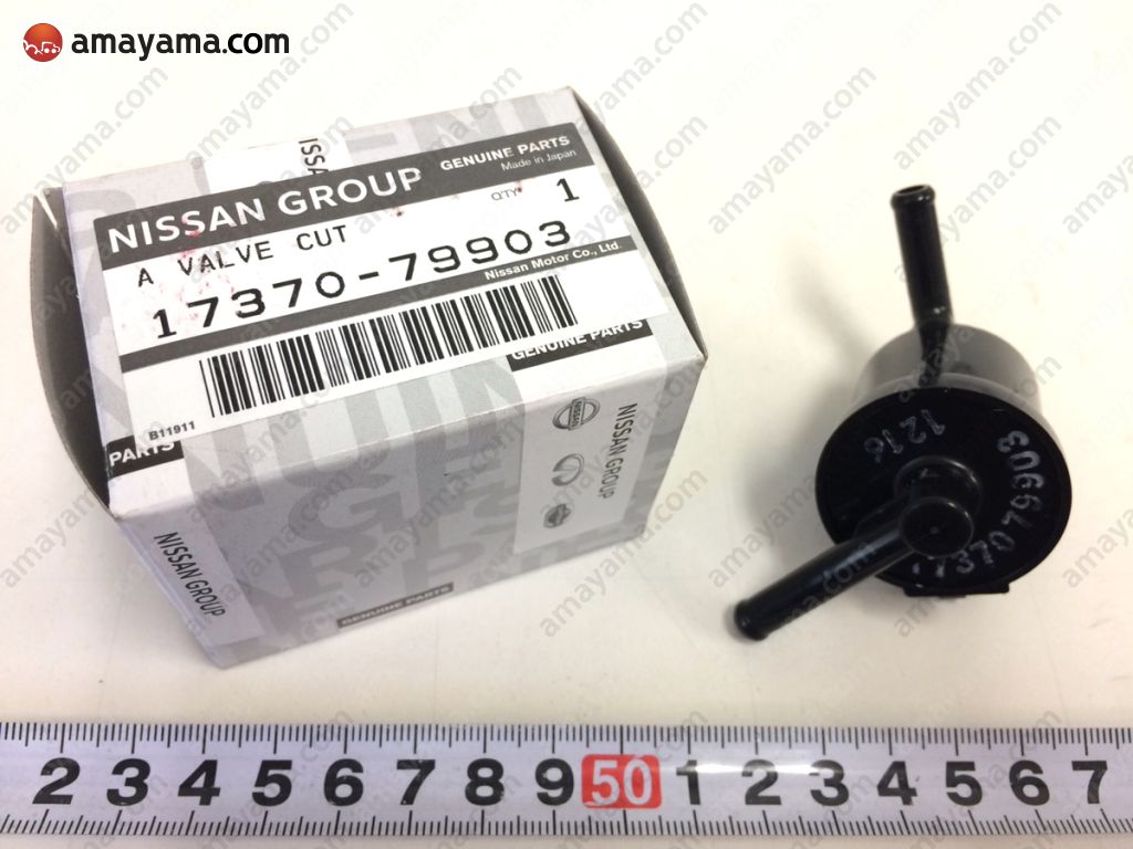Fuel tank (chassis) for Nissan Skyline R34, 10 generation 05.1998 - 07. ...